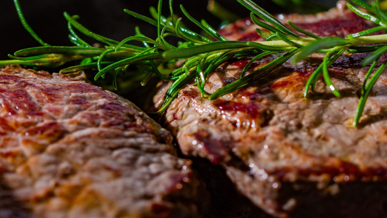 Weekly Singleton Diggers Events - Find What's On at Singleton Diggers